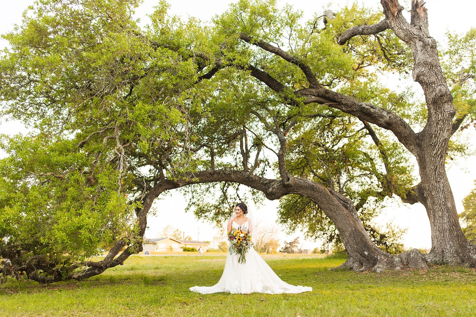 Taylor | Houston Bridal Session | madelinecphotography.com